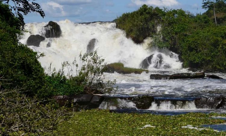Karuma Wildlife Reserve - This is Uganda